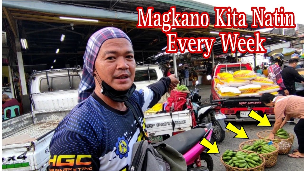 Every Week Harvest.Magkano Kita Sa Maliit na Banana Farming.Magandang ...