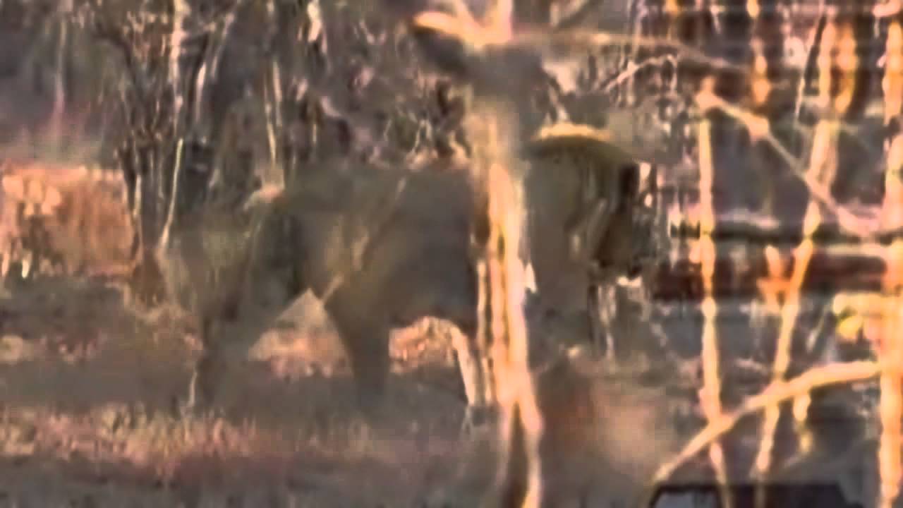 Birmingham Boys Make a Statement August 5, 2015 - YouTube