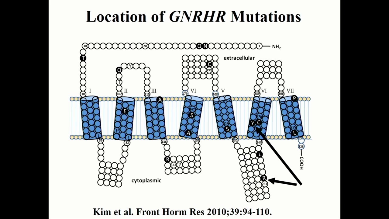 E10.2 Genetic basis of female reproductive disorders - YouTube