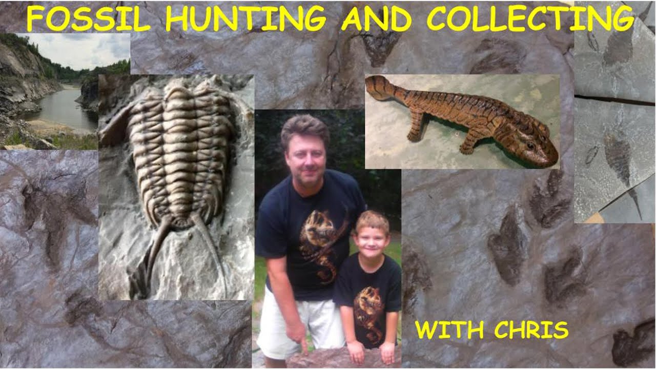 FOSSIL HUNTING AND FOSSIL COLLECTING WITH CHRIS - Fossils Fossil ...