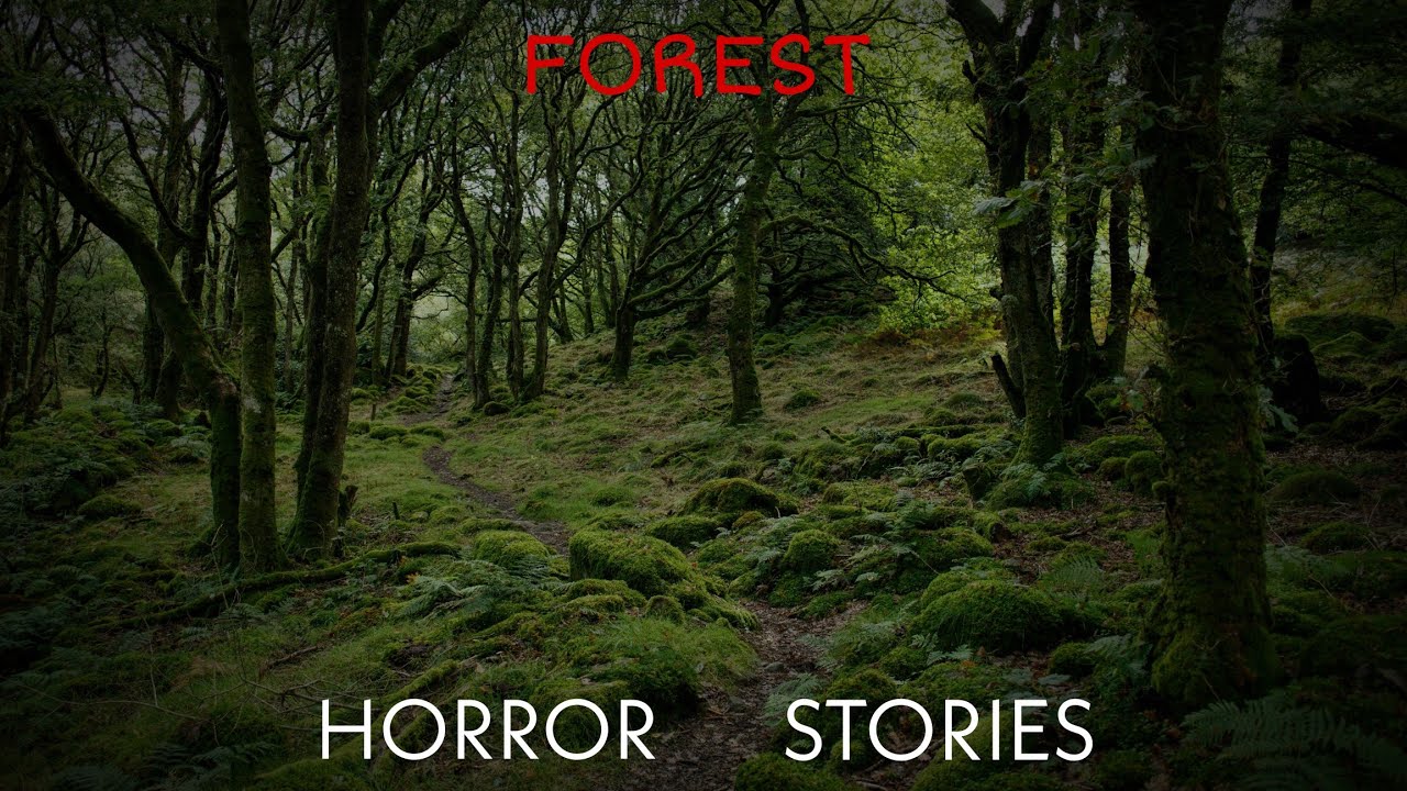 10 Disturbing Forest Horror Stories - YouTube