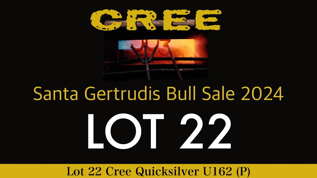 Lot 22 Cree Quicksilver U162 (P) - YouTube