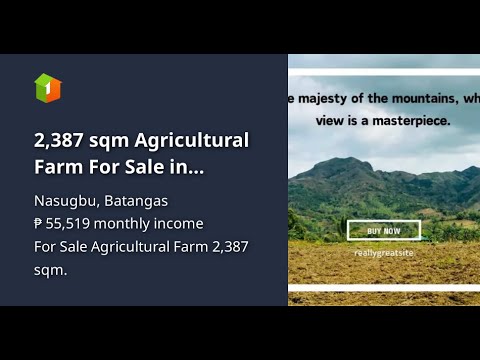 2,387 sqm Agricultural Farm For Sale in Nasugbu Batangas - YouTube