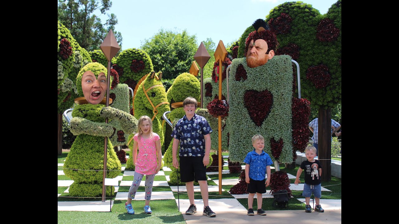 Rainey Family Summary for 2019 (and some pics from other years) - YouTube