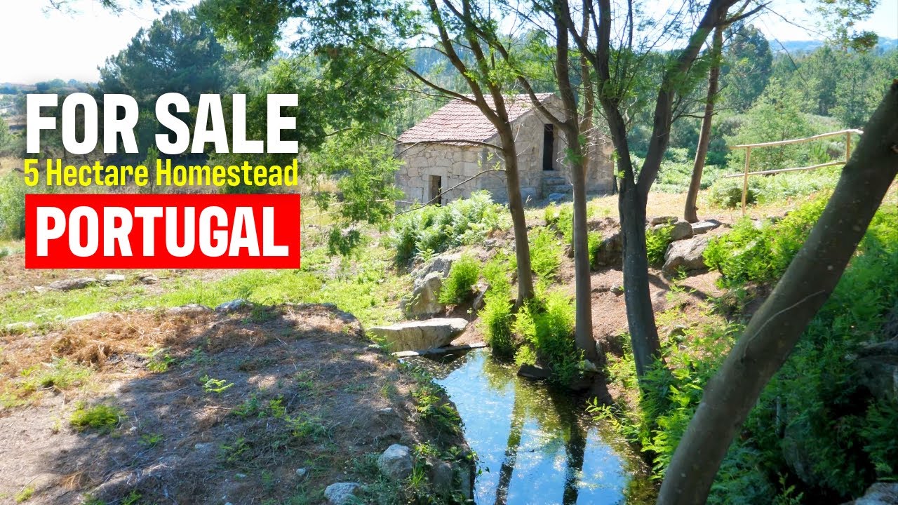 5 Hectare Homestead FOR SALE Figueiró da Granja - GUARDA (Central ...