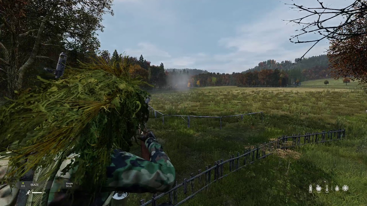 DayZ-my Pet "Boris" the Bear - YouTube