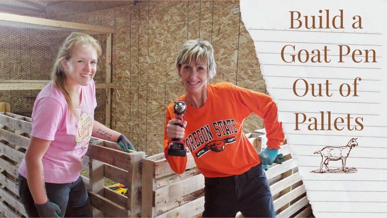 Build a Goat Pen Out of Pallets EASY - YouTube