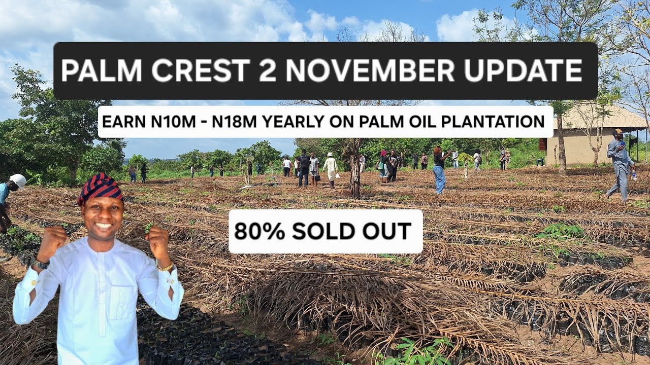 PALM CREST 2 NOVEMBER LIVE UPDATE. OVER 80% SOLD OUT. EARN N10M - N18M ...