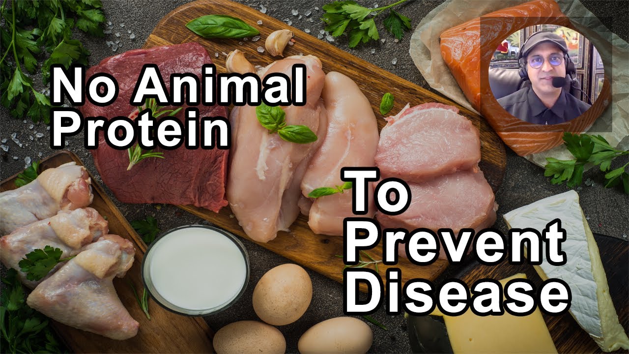 There's No Animal Protein That's Been Given To Prevent, Reverse Or ...