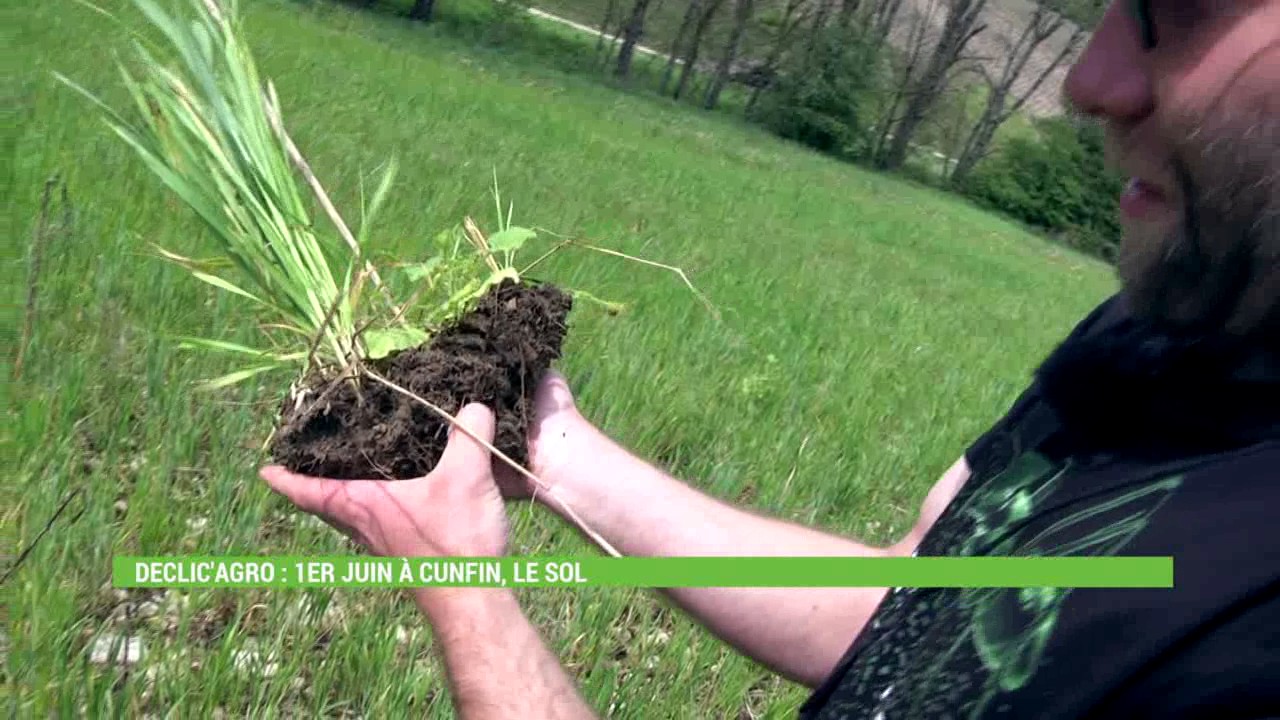 Déclic'Agro : l'agriculture de conservation du sol - YouTube