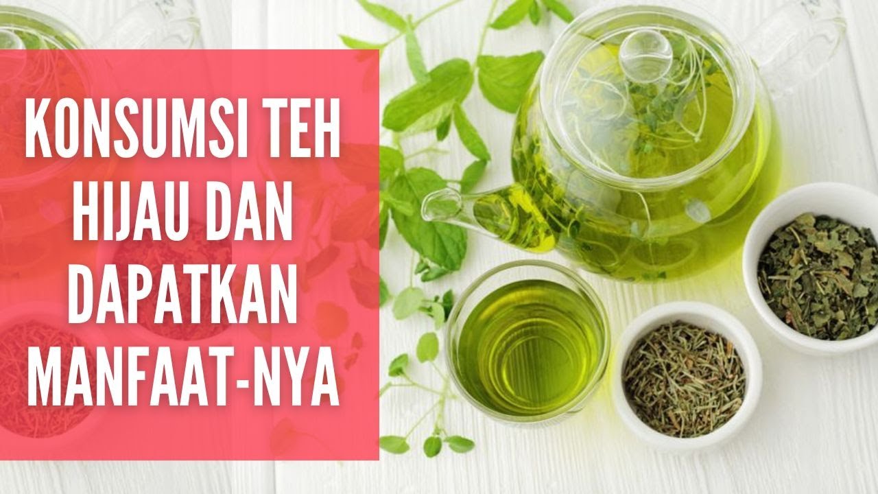 Segudang Manfaat Teh Hijau Bagi Kesehatan dan Kecantikan - YouTube