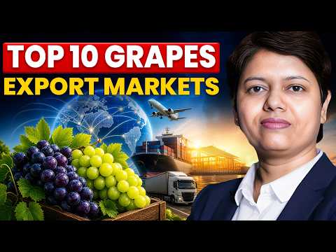 TOP 10 GRAPES EXPORT MARKET - YouTube