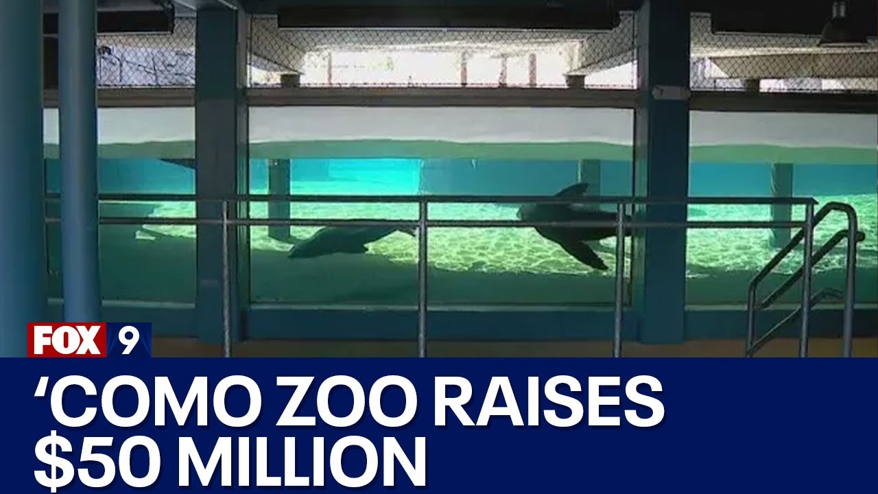 Como Zoo & Conservatory have 50 million reasons to celebrate - YouTube