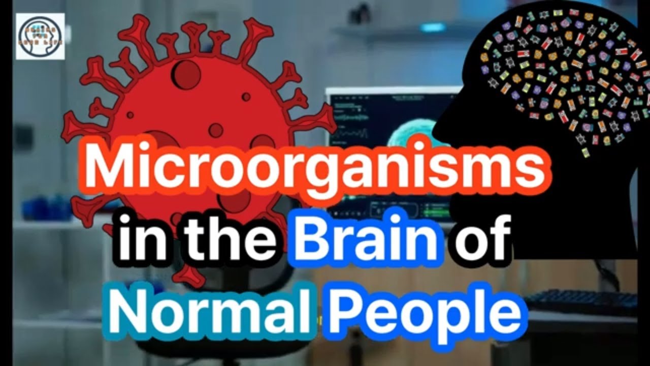 Unveiling the Brain Microbiome - New Insights and Research - YouTube