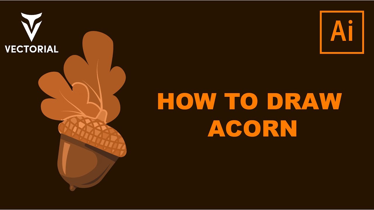 How to Draw an Acorn in ADobe Illustrator - YouTube
