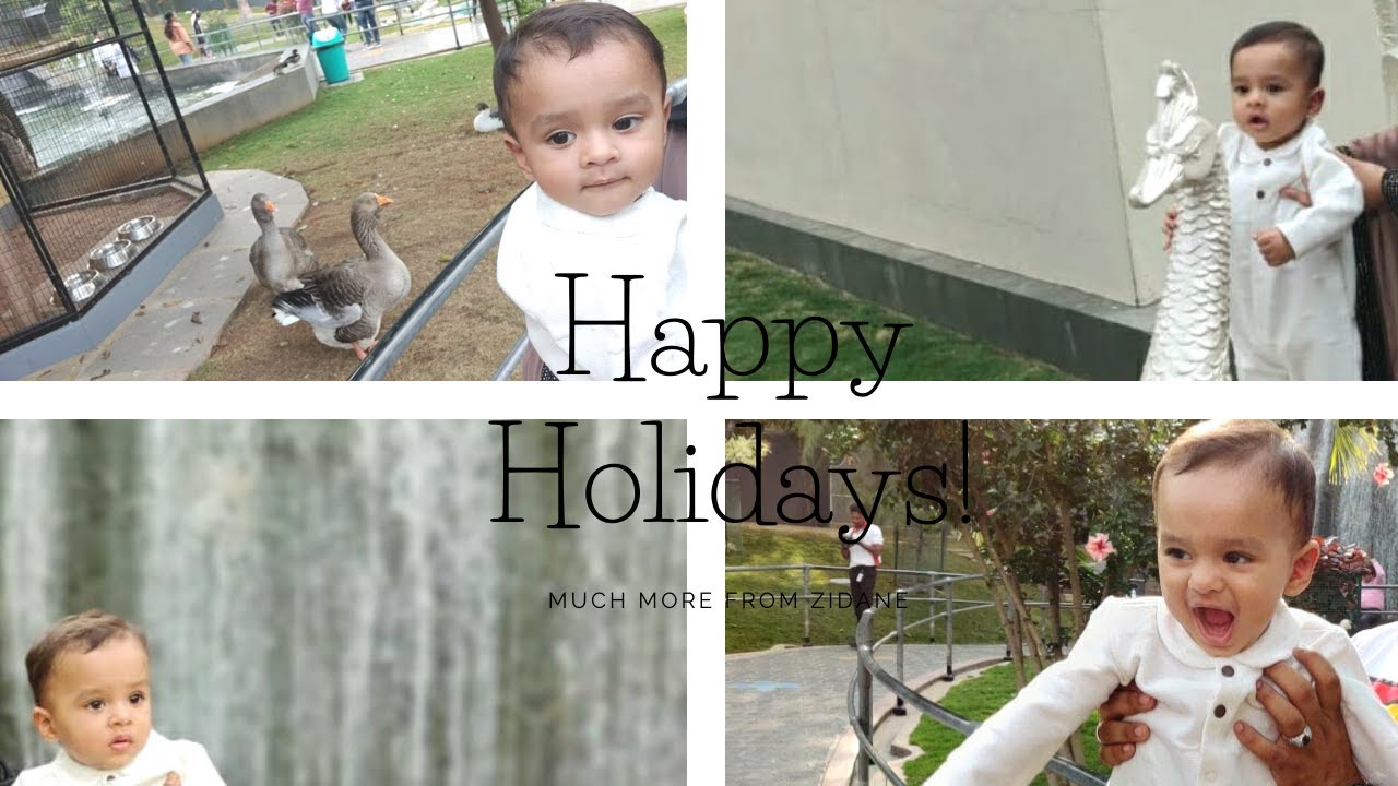 BABY ZIDANE IS ENJOYING HIS VACATION | Asia's largest aviary | Funny ...