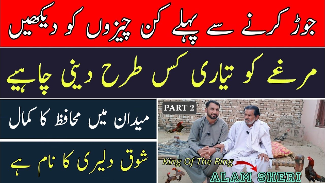 King Of The Ring Ustad Alam Sheri | Murga ka Jor Karne Ka Sahi Tarika ...