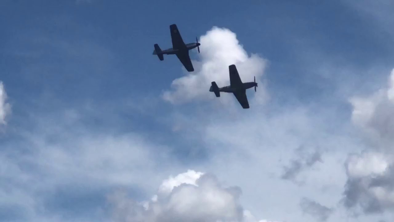 2 Mustangs in formation - YouTube