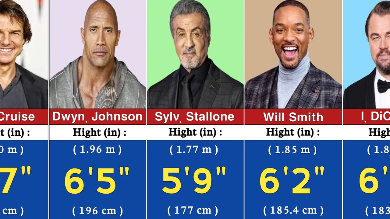 Ranked Accurate heights of Hollywood Actors | Smallest to Largest - YouTube