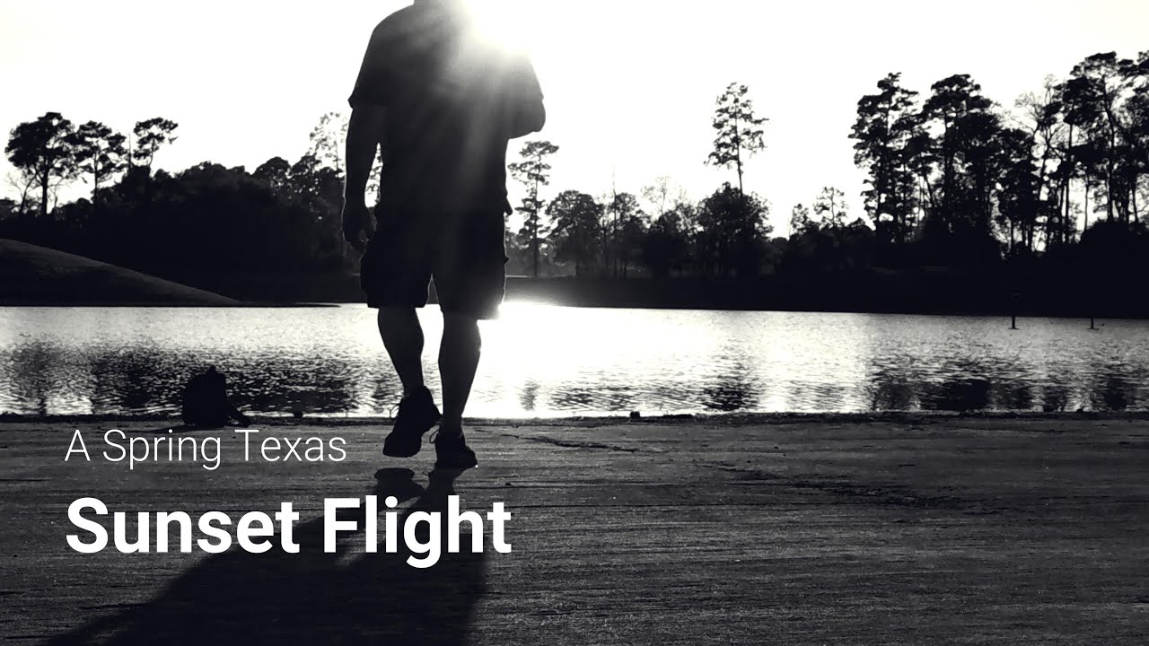 A Mesmerizing Evening Flight Chasing the Setting Sun in Early Spring ...