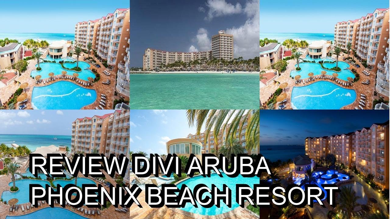 Review Divi Aruba Phoenix Beach Resort - YouTube