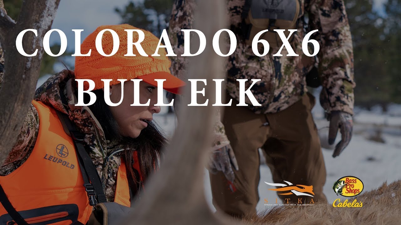 Colorado 6x6 Bull Elk - Riza - YouTube