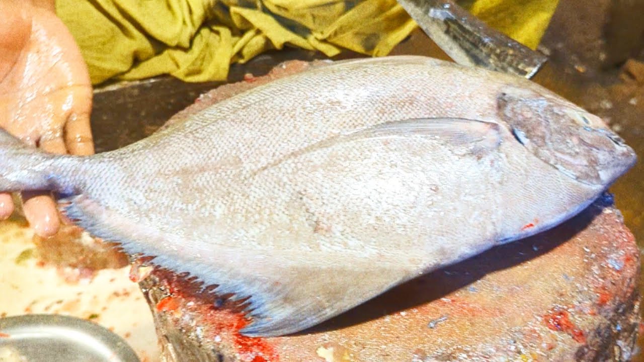 Big Black Pomfret Fish Cutting Skills Live | Fresh Fish Cutting Skills ...