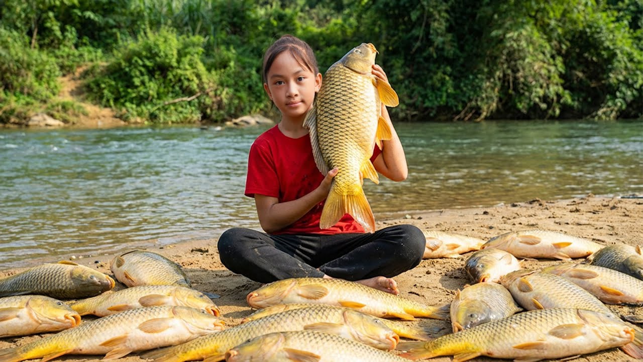 Harvesting 500+ GIANT Wild Carp - Forest Girl Wild Carp Adventure ...