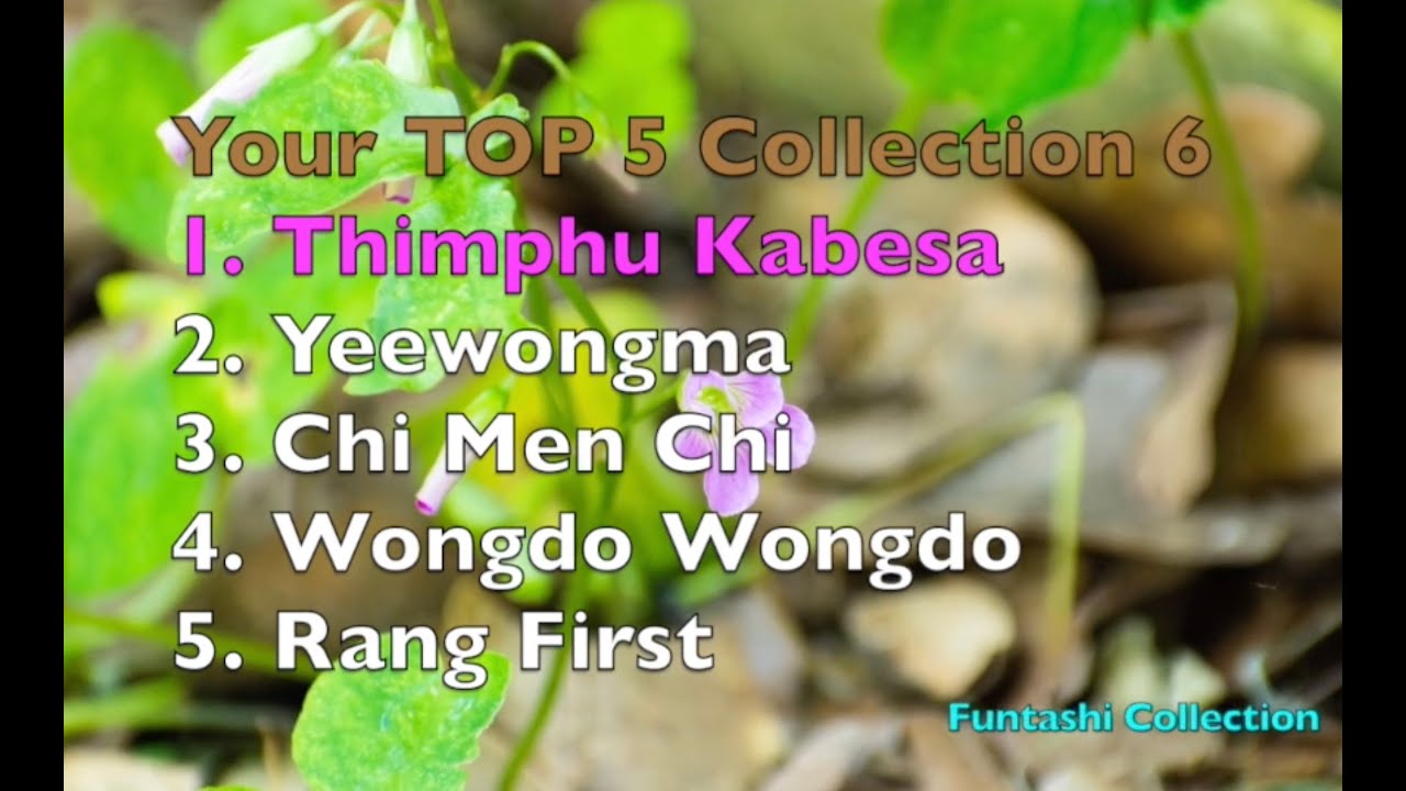 Latest Bhutanese Song 2024 (Your TOP 5 Collection 6) - YouTube