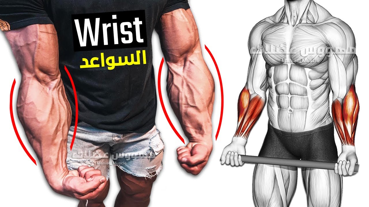 8 PERFECT EXERCISES FOREARM WORKOUT 🎯 - YouTube