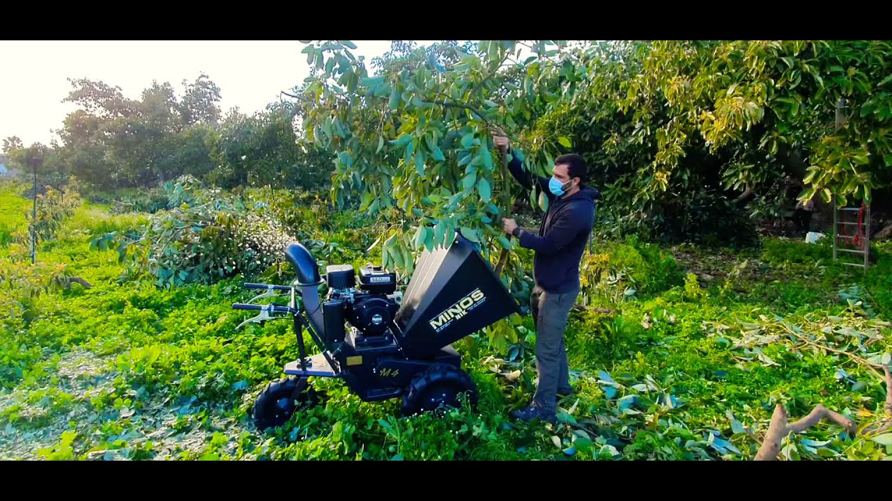 ΘΡΥΜΜΑΤΙΣΤΗΣ ΚΛΑΔΙΩΝ MINOS 2021 με ΚΙΝΗΤΗΡΑ ROBIN - BRANCH SHREDDER ...