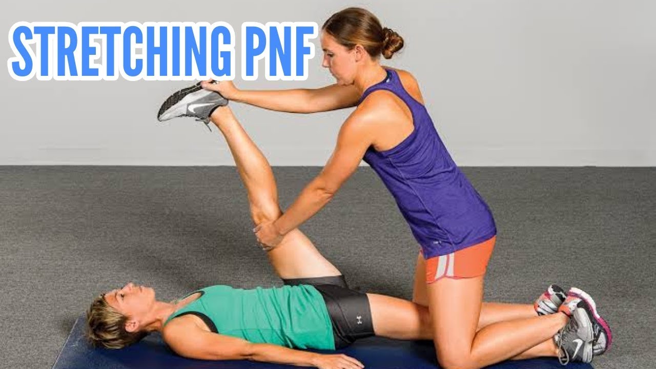 PNF Stretching Teqhnique & Muscles That Work - YouTube