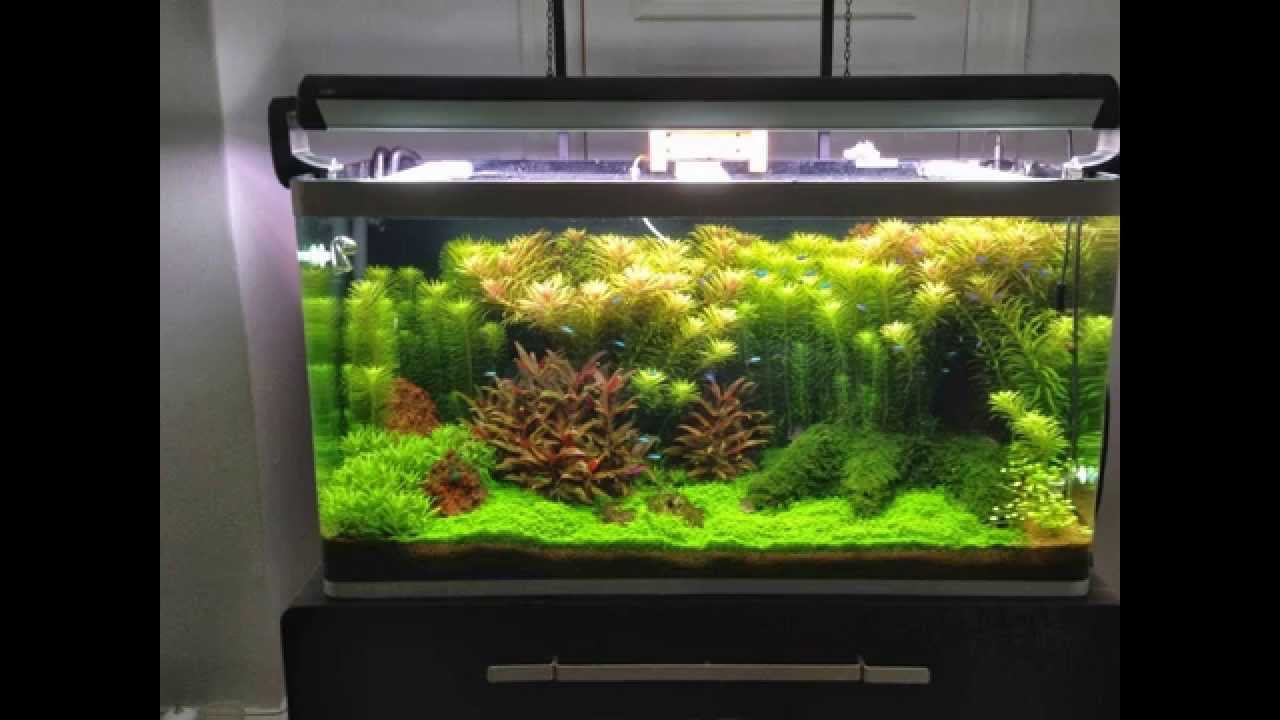 Fluval Osaka 320 - YouTube
