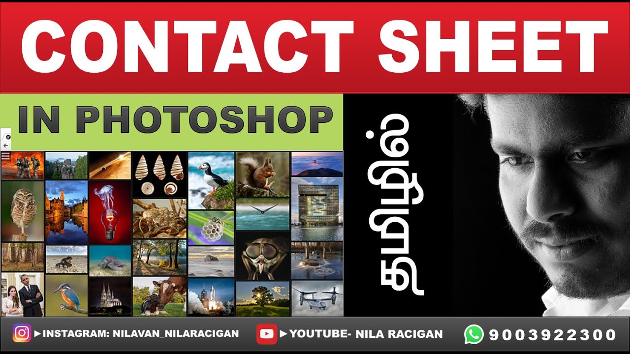 Contact Sheet in Photoshop Detailed Explanation - Photoshop Tutorial ...