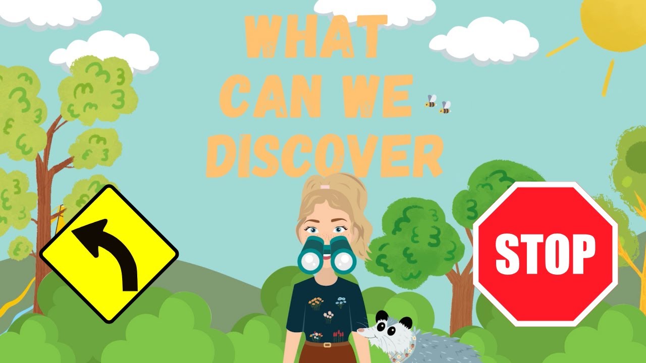 What Can We Discover | Street Signs | Educational Video For Kids ...