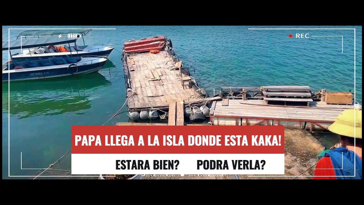 En Busca de Kaka: El Emotivo Viaje del Sr. Ngoc a Ben En. #monkeykaka# ...