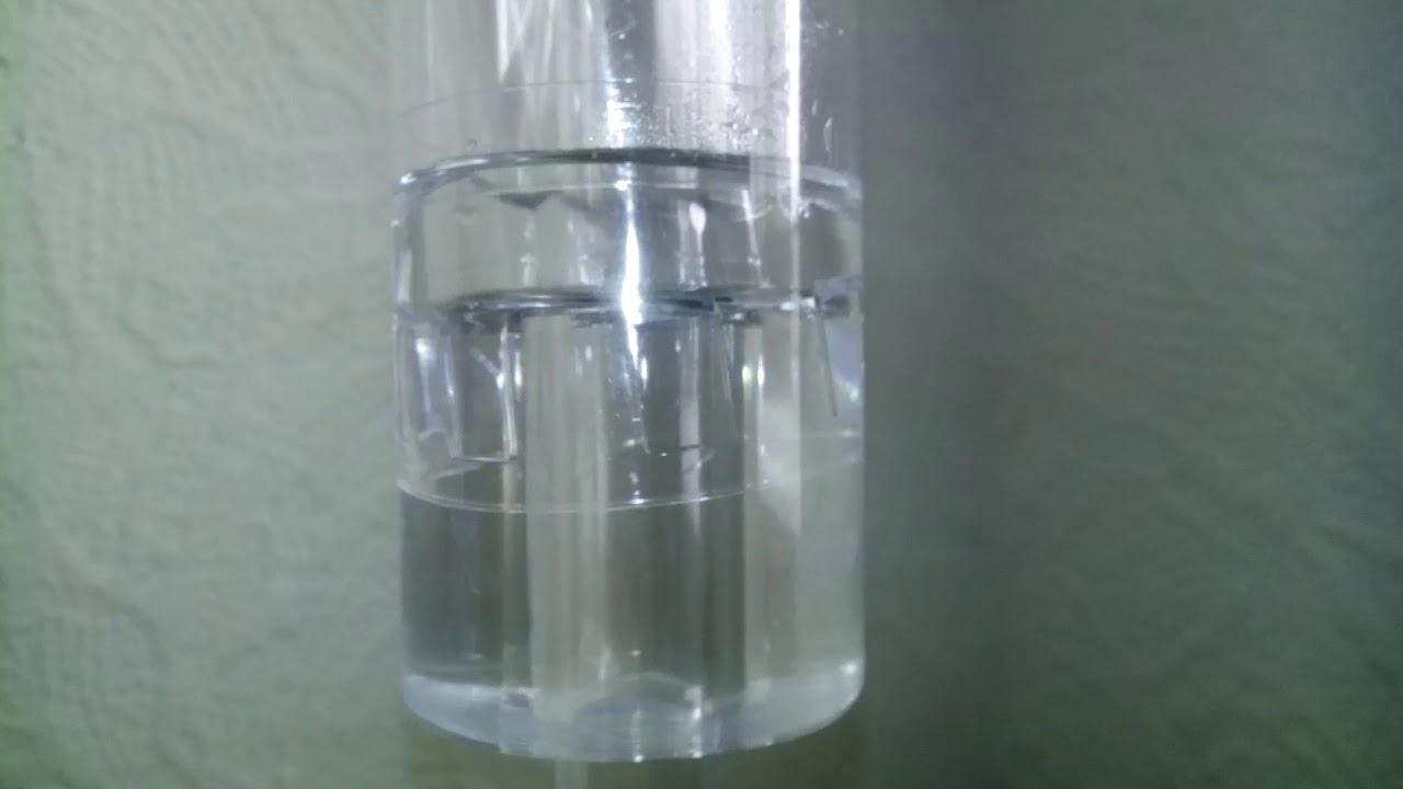 Bubbles Darling - YouTube