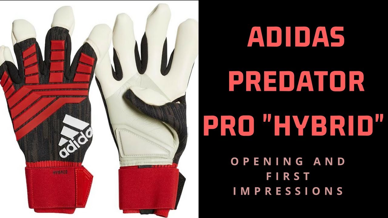 Adidas Predator Pro (HYBRID) first impressions - YouTube