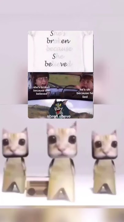 El Gato Cat Meme Youtube