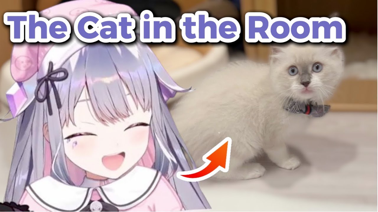 Biboo Finally revealed Her cat on stream!! - YouTube