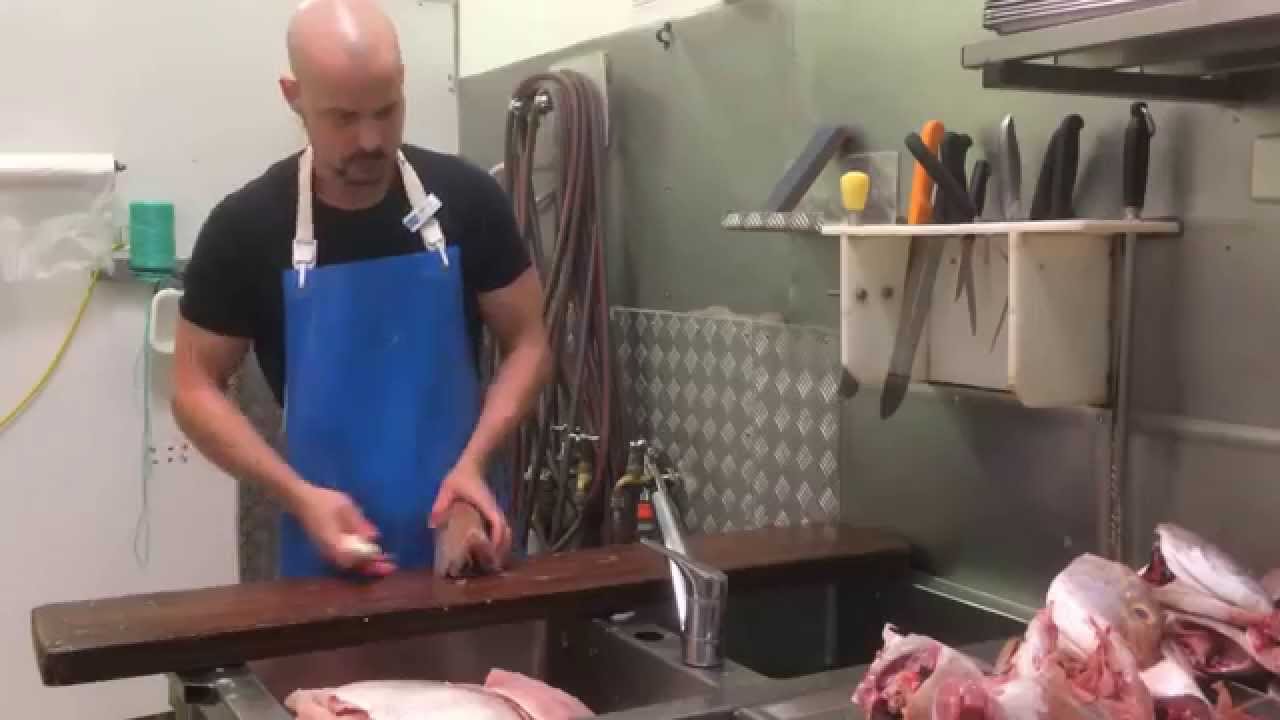 Gold Band Snapper Filleting - YouTube
