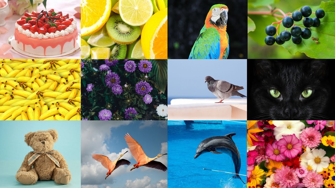 The Colors Song ~ Learn the Colors | Colours ~ Learn English Vocabulary ...