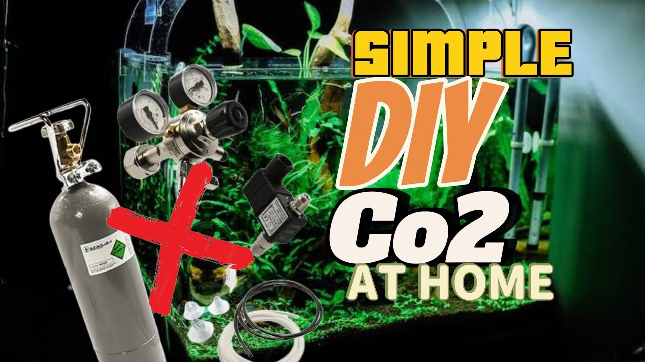 How to make a CO2 diffuser system | Cheap CO2 | Full DIY CO2 system ...