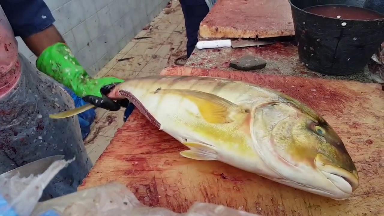 Frozen Trevally Fish Cutting। Frozen Trevally Fish Filleting Fastest ...