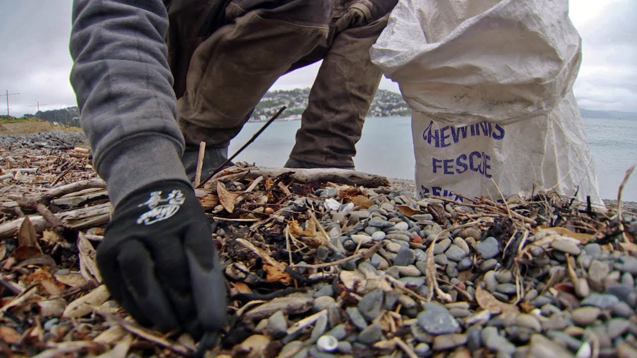 Forty pieces of litter every 100 square metres on New Zealand ...