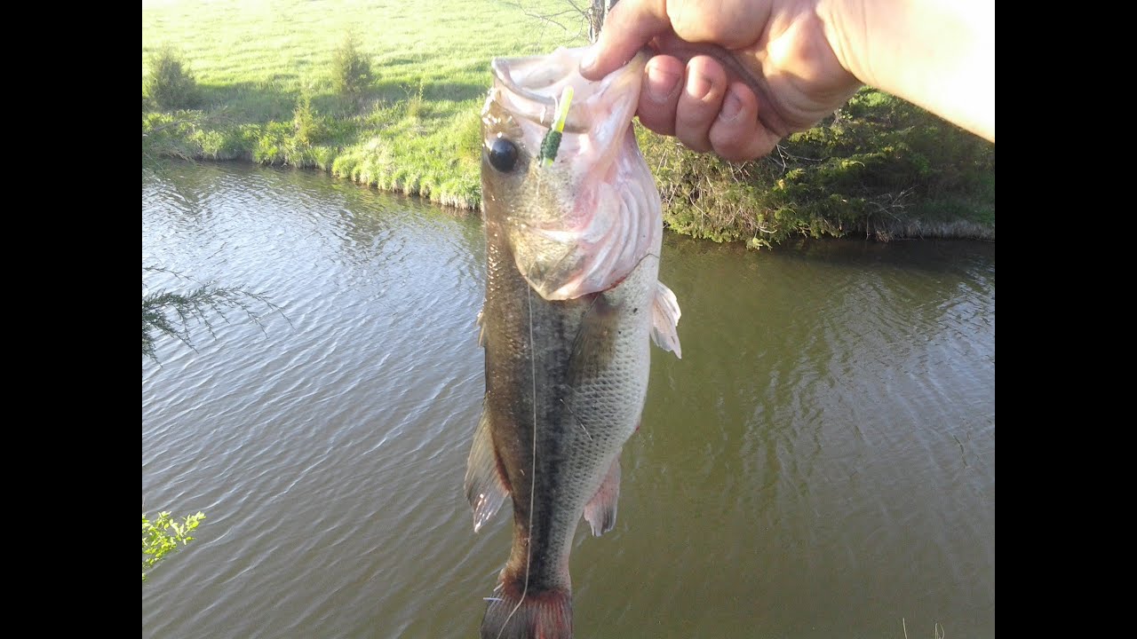 TGO How to make A Rave Survival Fishing Lure! - YouTube