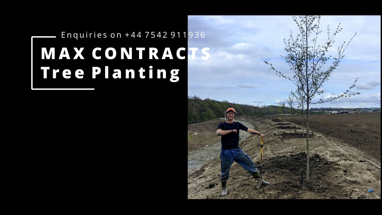 Max Contracts Tree Planting - YouTube