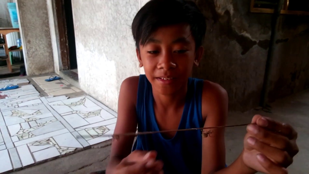LABAN NG GAGAMBA PART 2 - YouTube