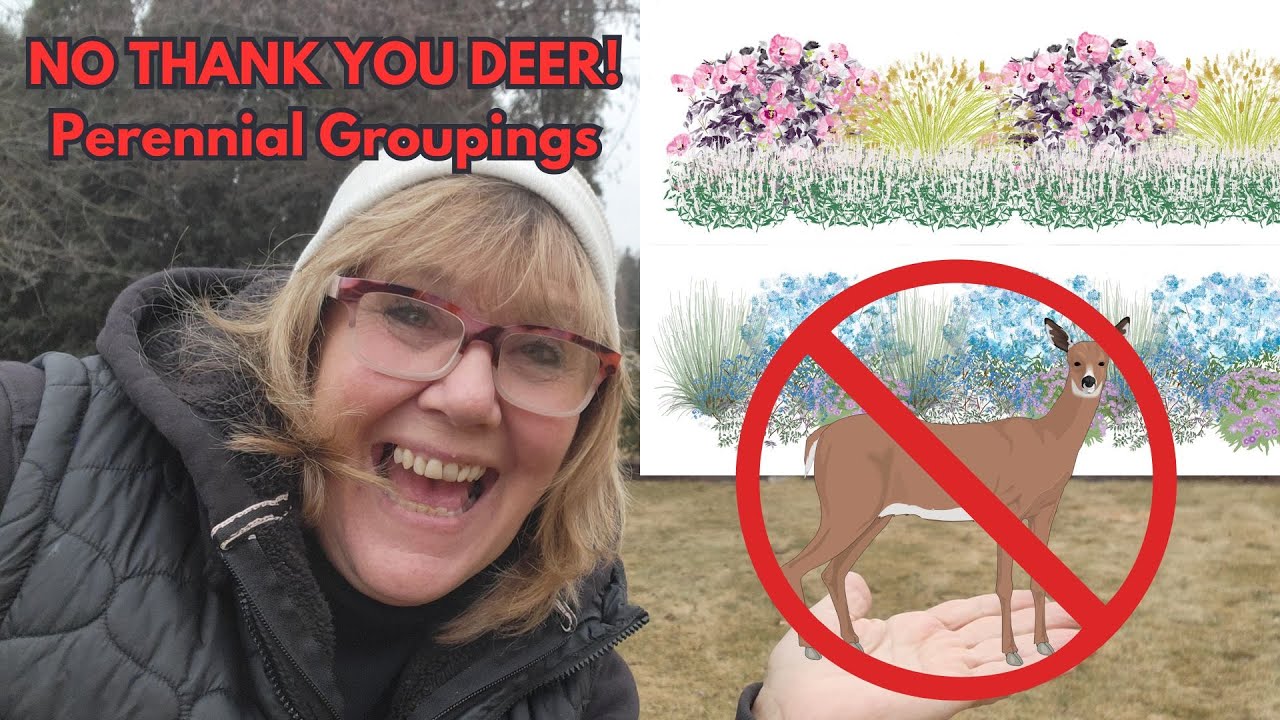 Garden Ideas: Perennial Groupings - YouTube