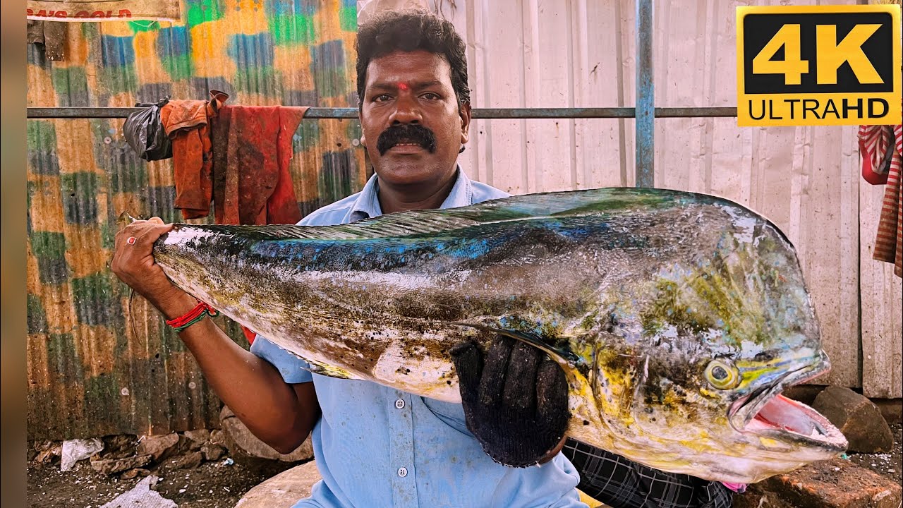 Parla fish cutting video Fishcuttingrs #fishcuttingrs #kasimedu #fish ...